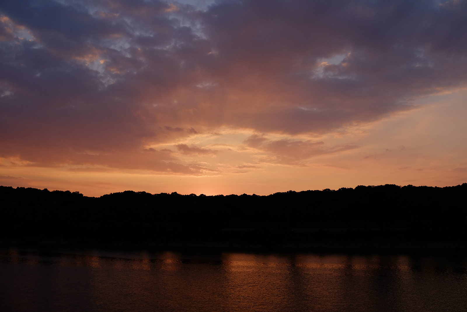 Working With Fuji Raw Files UPAA